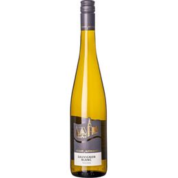 Vinum Autmundis Sauvignon Blanc 2025 Trocken - Herrnberg Hessische Bergstra&szlig;e &ndash; Wei&szlig;wein Qualit&auml;tswein