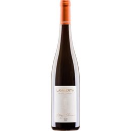 Weingut Lamberth Steig-Terrassen Syrah 2020 Trocken - Guntersblumer Rheinhessen &ndash; Rotwein Qualit&auml;tswein