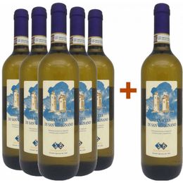 San Benedetto 5+1 Paket di Gimignano Vernaccia 2024 Trocken - Toskana &ndash; Probierpaket DOCG