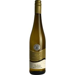 Weingut Sankt Anna *** Alte Reben Riesling 2023 Feinherb - &Uuml;rziger W&uuml;rzgarten Mosel &ndash; Wei&szlig;wein Sp&auml;tlese