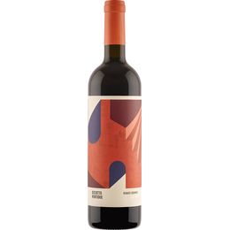 Renato Cosimato Diciotto Ventidue Colli di Salerno Rosso Cabernet Sauvignon 2021 Trocken - Baronissi Kampanien &ndash; Rotwein IGP
