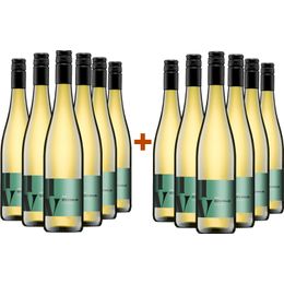 Weingut Franz 6+6 Paket Civinus Sauvignon Blanc 2024 Trocken - Rheinhessen &ndash; Probierpaket Qualit&auml;tswein