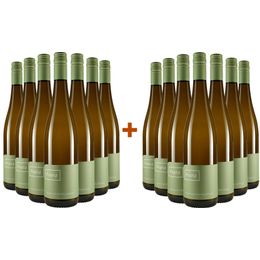 Weingut Franz 7+7 Paket - 2022 Nieder-Hilbersheimer vom Rotenstein Riesling 2023 Trocken Rheinhessen &ndash; Probierpaket Qualit&auml;tswein