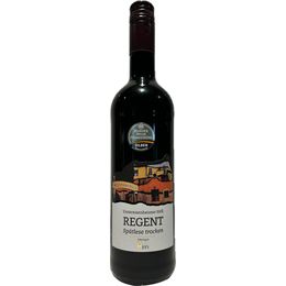 Weingut Hirn Regent 2020 Trocken - Untereisenheimer H&ouml;ll Franken &ndash; Rotwein Sp&auml;tlese