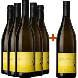 Kandlerhof 5+1 Paket Sauvignon Alto Adige Blanc 2023 Trocken - S&uuml;dtirol &ndash; Probierpaket DOC