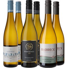 Wirwinzer Select Premium-Paket Grauburgunder 2024 Trocken - Rheinhessen &ndash; Probierpaket Qualit&auml;tswein