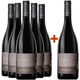Kandlerhof 5+1 Paket St. Magdalener Schloterp&ouml;ck Cuv&eacute;e 2020 Trocken - S&uuml;dtirol &ndash; Probierpaket DOC