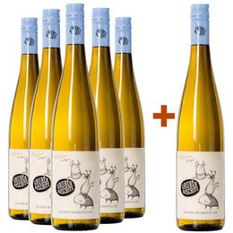 Weingut Gruber R&ouml;schitz 5+1 BIO Paket Gelber Muskateller 2024 Trocken - Nieder&ouml;sterreich &ndash; Probierpaket Qualit&auml;tswein
