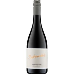 Weingut Boxheimerhof Sp&auml;tburgunder Blauer 2022 Trocken - Rheinhessen &ndash; Rotwein Qualit&auml;tswein