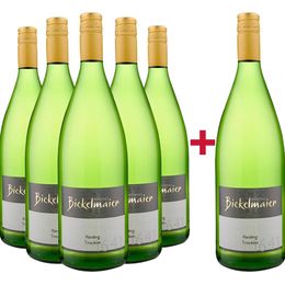 Weingut Bickelmaier 5+1 Paket 1,0 L Riesling 2024 Trocken - Rheingau &ndash; Probierpaket Qualit&auml;tswein