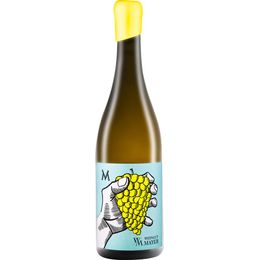 Weingut Mayer M&uuml;ller Thurgau M M&uuml;ller-Thurgau / Rivaner 2024 Trocken - Wachau DAC &ndash; Wei&szlig;wein Qualit&auml;tswein