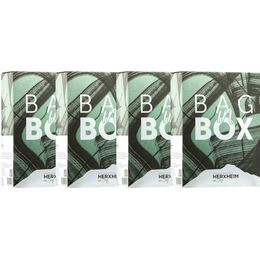 Winzergenossenschaft Herxheim am Berg 4er Paket Bag-in-Box Riesling 2025 Trocken - Pfalz &ndash; Probierpaket Qualit&auml;tswein