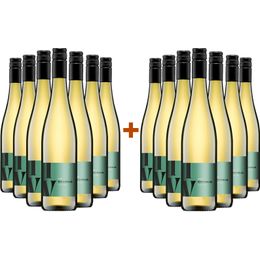 Weingut Franz 7+7 Paket Civinus Sauvignon Blanc 2024 Trocken - Rheinhessen &ndash; Probierpaket Qualit&auml;tswein