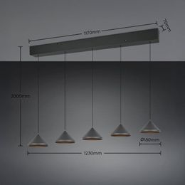 Trio Leuchten Laguna Pendelleuchte, LED, 336210532,