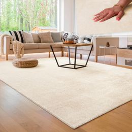 Teppich Paco Home "Cadiz 630", beige (cream), B:60cm H:14mm L:100cm, Polyester, Teppiche, Teppich, Uni-Farben, besonders weich, waschbar, auch als L&auml;ufer erh&auml;ltlich