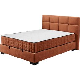 Boxbett ED EXCITING DESIGN "Nagol", braun (cognac), B:165cm L:214cm, 100% Polyester, Komplettbetten, mit Bettkasten, mit Wendematratze, erh&auml;ltlich in verschiedenen Breiten