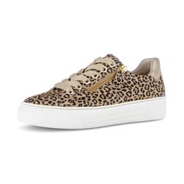 Gabor Damen Plateausneaker, Gr. 37, braun, Veloursleder, Schuhe, Freizeitschuh, Halbschuh, Schn&uuml;rer mit Au&szlig;enrei&szlig;verschluss, G-Weite