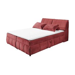 M&ouml;bel Kraft Boxbett rot Ma&szlig;e (cm): B: 183 H: 105 T: 235.0 &raquo; M&ouml;bel Kraft
