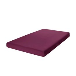 CS Schmal como Spannbetttuch Uni Jersey rot Ma&szlig;e (cm): B: 140 &raquo; M&ouml;bel Kraft