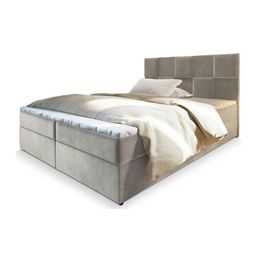 MASSENO Boxbett mit Bettkasten beige Ma&szlig;e (cm): B: 140 H: 98 &raquo; M&ouml;bel Kraft