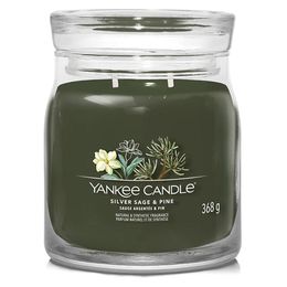 yankee candle Duftkerze "Silver Sage & Pine" - 368 g - 47% | Kerzen-vasen