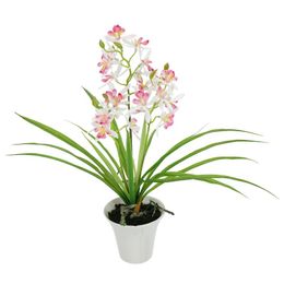 I.GE.A. Kunstorchidee &raquo;K&uuml;nstliche Orchidee mit Topf&laquo; Dekoblume Kunstblume 40cm mit Bl&auml;tter und Luftwurzeln im Topf Blume Polyester