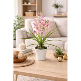 I.GE.A. Kunstorchidee &raquo;K&uuml;nstliche Orchidee mit Topf&laquo; Dekoblume Kunstblume 40cm mit Bl&auml;tter und Luftwurzeln im Topf Blume Polyester