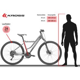 Crossrad &raquo;Evado 5.0 lila 18 G&auml;nge&laquo; 18 Gang Shimano CUES U3020 Schaltwerk Kettenschaltung Crossrad