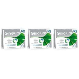 HEXAL&reg; Gingium 120 mg 3x120 St (3 Packungen)
