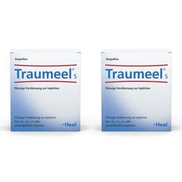 Heel Traumeel S Ampullen (2x100 St) 2 St