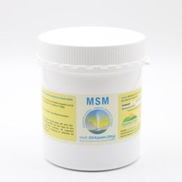 Msm Kapseln 1000 mg 250 St