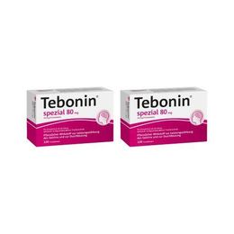 Tebonin spezial 80 mg Filmtabletten (2x120 St) 2 St