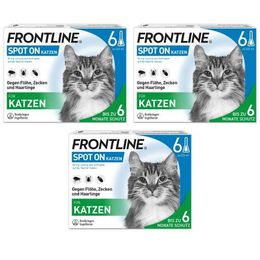 FRONTLINE SPOT ON Katze gegen Zecken und Fl&ouml;he (3x 6St) 18 St