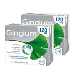 HEXAL&reg; Gingium 120 mg 2x120 St Doppelpackung