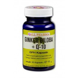 Hecht-Pharma Ginkgo BILOBA+Q10 Gph Kapseln 360 St