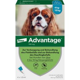 Advantage 100 L&ouml;sung f.Hunde 4-10 kg 4 St