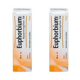 Heel Euphorbium Compositum Nasentr.SN Nasendosierspray Set (2x20ml) 2 St