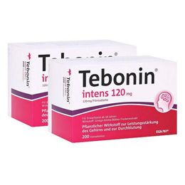 Tebonin intens 120 mg Filmtabletten Doppelpackung (2x200 St) 2 St