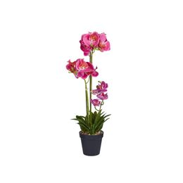 Butlers Kunstblume FLORISTA Orchidee in Pink | Gr.: onesize