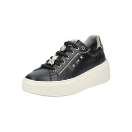 Nero Giardini Sneaker in Schwarz/Gold | Gr.: 38