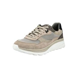 Geox Sneaker in Sand | Gr.: 41