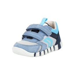 Geox Sneaker in Sky | Gr.: 20
