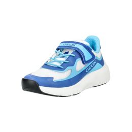 Geox Sneaker PRO-RAN in Wei&szlig;/Blau | Gr.: 32