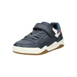 Geox Sneaker in Navy | Gr.: 35