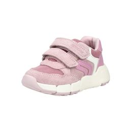 Geox Sneaker in Rose | Gr.: 21