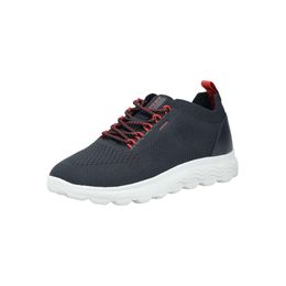 Geox Sneaker in Navy | Gr.: 41