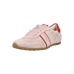 Paul Green Sneaker in Rosa | Gr.: 37,5