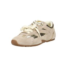 Steve Madden Sneaker in Gold/Beige | Gr.: 38