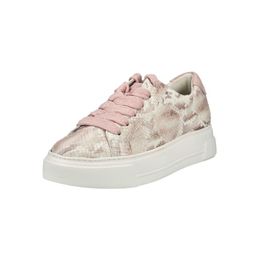 Paul Green Sneaker in Rose | Gr.: 40