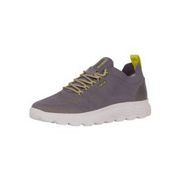 Geox Sneaker in Dunkelgrau | Gr.: 47